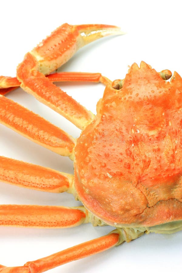 Snow crab stock image. Image of seafood, garnish, marine - 27320529