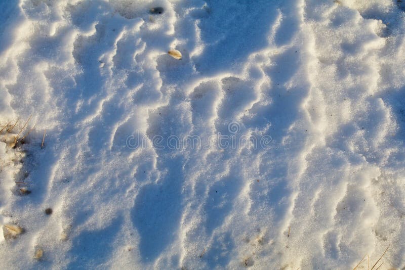 Snow Crystal Texture stock photo. Image of round, snowflake - 146480200