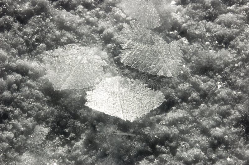 Snow Crystals stock image. Image of natural, background - 12839915