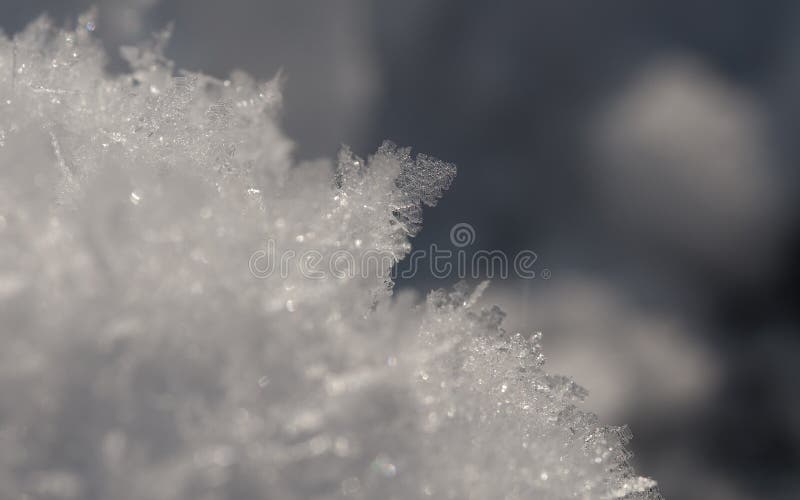 Snow crystals stock image. Image of coldness, party, carol - 23188717