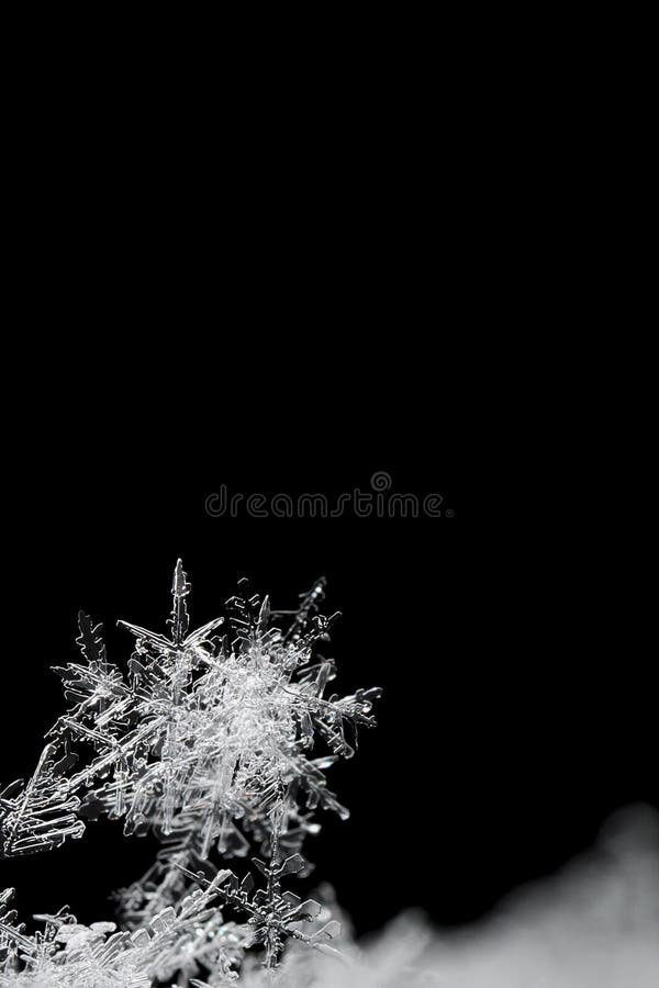 197 Snowman Crystals Stock Photos - Free & Royalty-Free Stock Photos ...