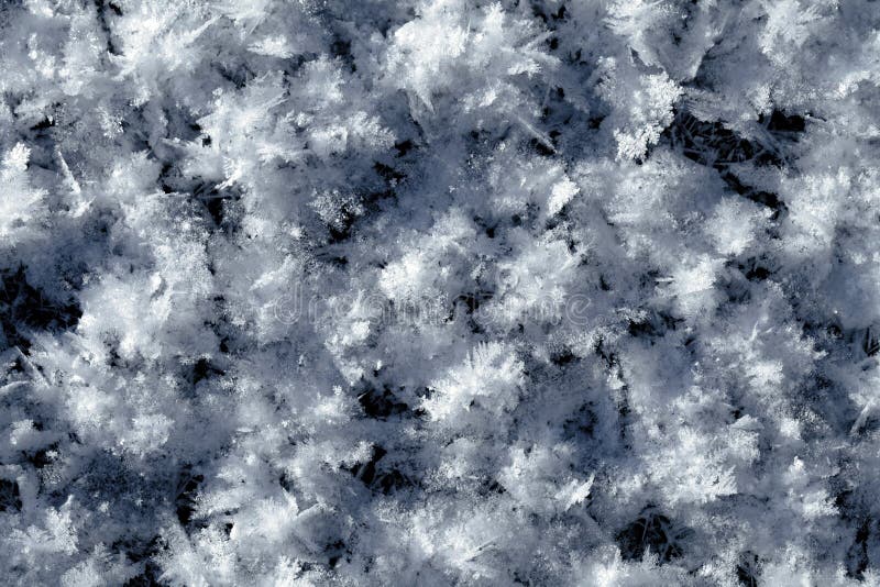 Snow Crystals on the Ground Stock Photo - Image of macro, snow: 78081486
