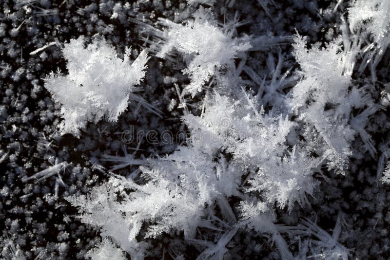 Snow Crystals on the Ground Stock Image - Image of snowflake, fresh ...