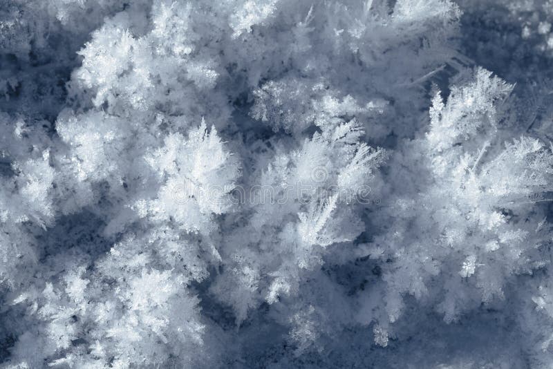 Snow Crystals on the Ground Stock Photo - Image of season, solid: 79924368