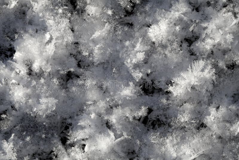 Snow Crystals on the Ground Stock Photo - Image of solid, cool: 82174492