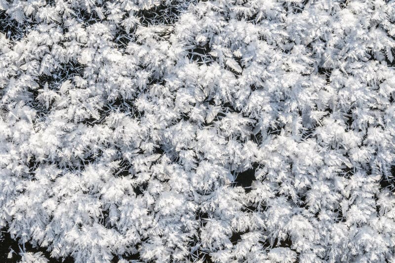 Snow crystals stock photo. Image of macro, snowing, snow - 48767194