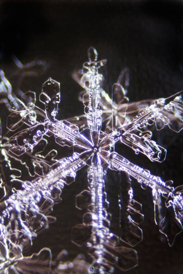 Snow Crystals stock image. Image of microphotographs - 43435745