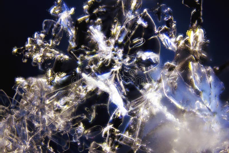 Snow Crystals stock photo. Image of snowflakes, detail - 43452416