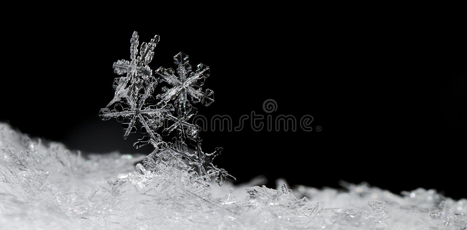 Wooden floor stock image. Image of hardboard, architecture - 20704803