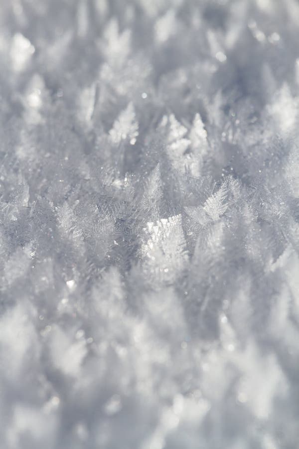 Snow Crystals on Snow Covered Field Stock Image - Image of beautiful ...