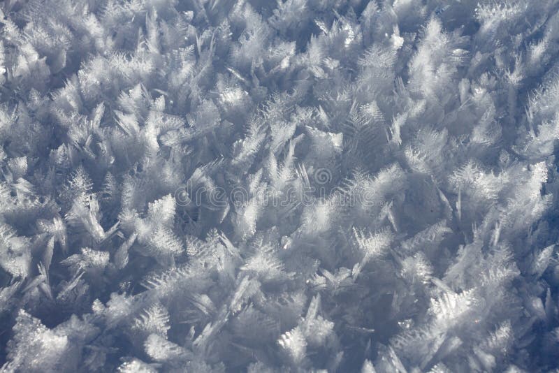 Snow Crystals on Snow Covered Field Stock Image - Image of frost ...