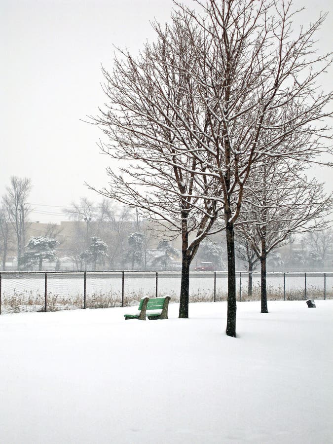 Snow day stock photo. Image of black, simple, tree, road - 401500