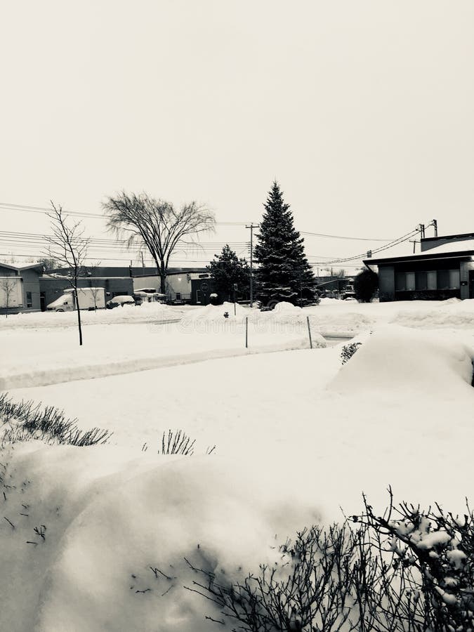 Snow day stock photo. Image of snow, cold, tree, winter - 107249858