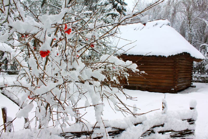 Snow Day in the Countryside Stock Photo - Image of nature, frozen: 22341638