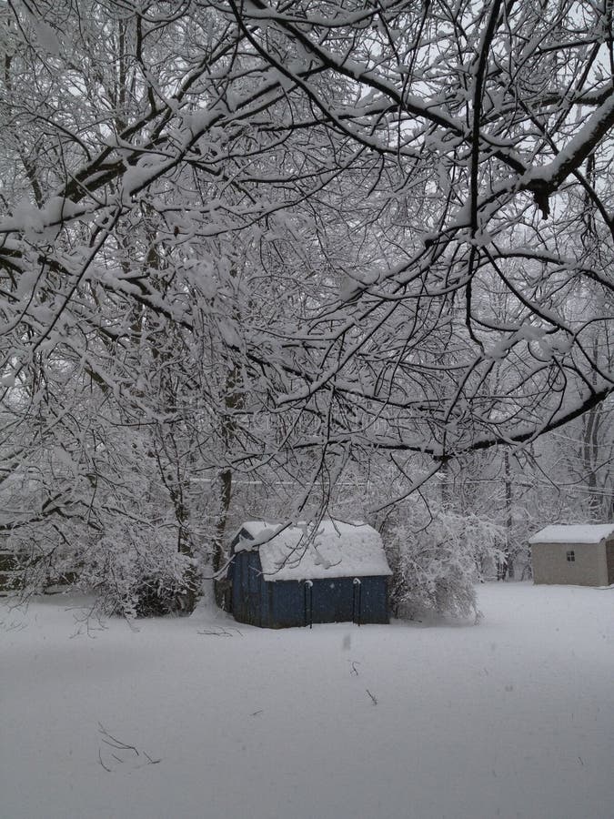 Snow day stock photo. Image of winter, blizzard, heavy - 78231482