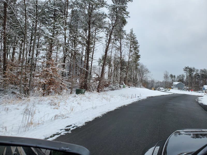 Snow Day Out on the Road. Snowy Trees and Shrubs Stock Image - Image of ...