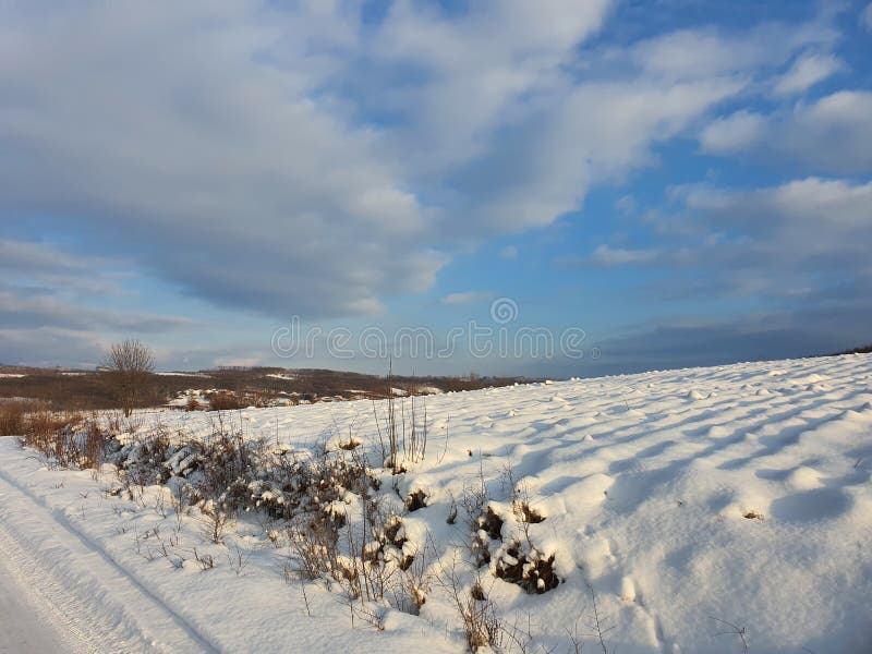 Snow day in winter stock photo. Image of tundra, horizon - 208676548