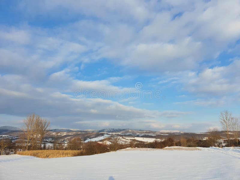 Snow day in winter stock image. Image of nature, shore - 208676667