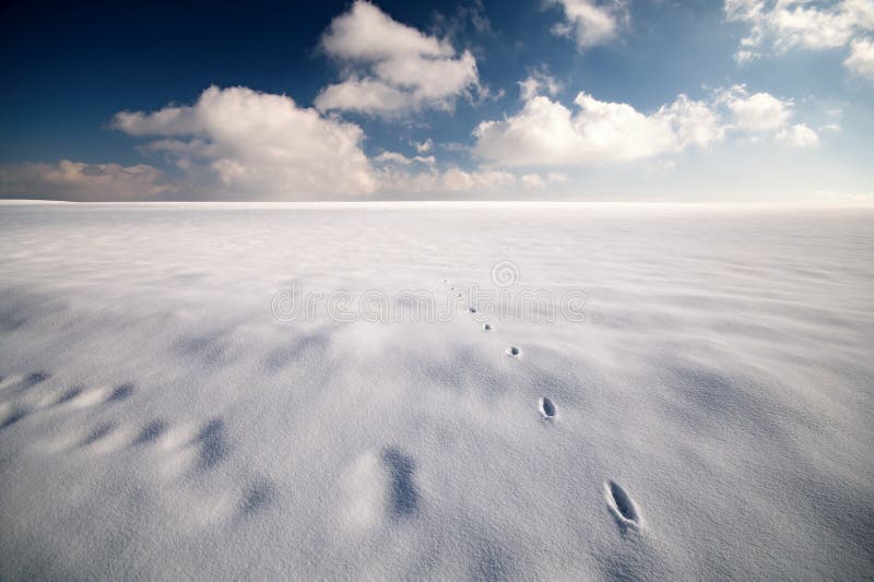 Snow desert stock image. Image of winter, space, horizon - 13404421