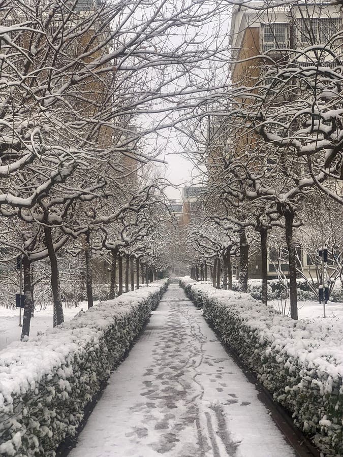 After the Snow, a Deserted Path Was Covered with Thick Snow on the ...