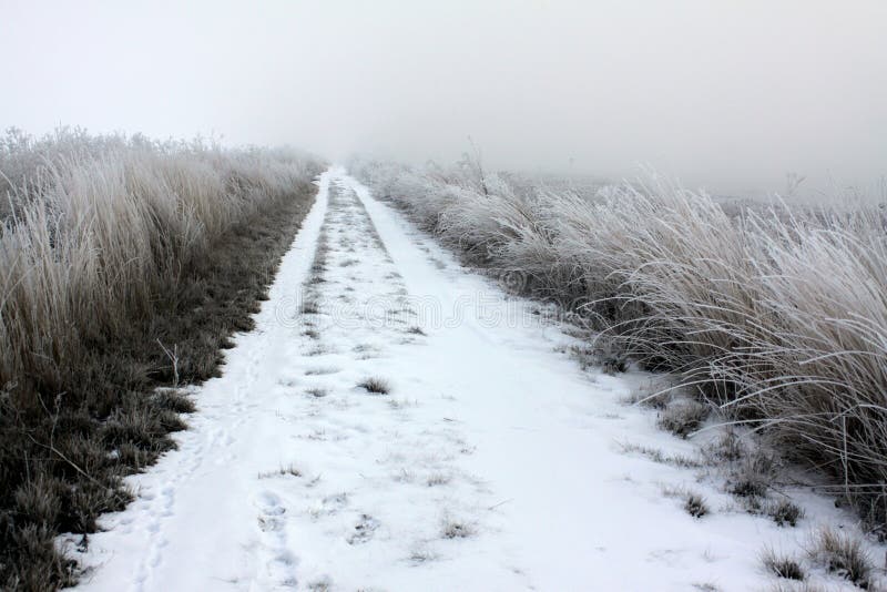 Snow on a Country Road stock photo. Image of freeze, backroad - 29016628