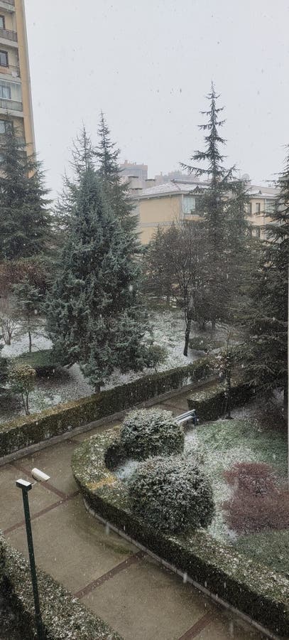 When the snow down stock image. Image of freezing, snow - 211336647