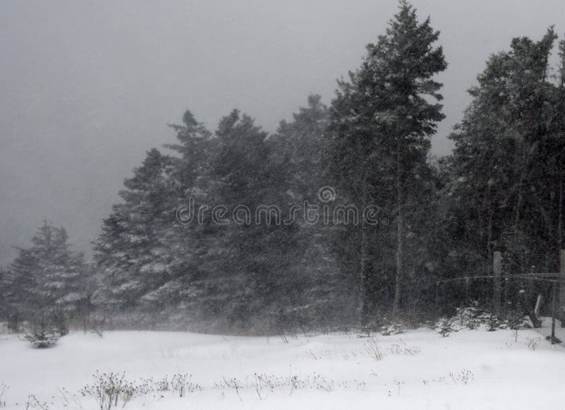 Heavy Snow Fall Poor Visibility Stock Image - Image of canada, season ...