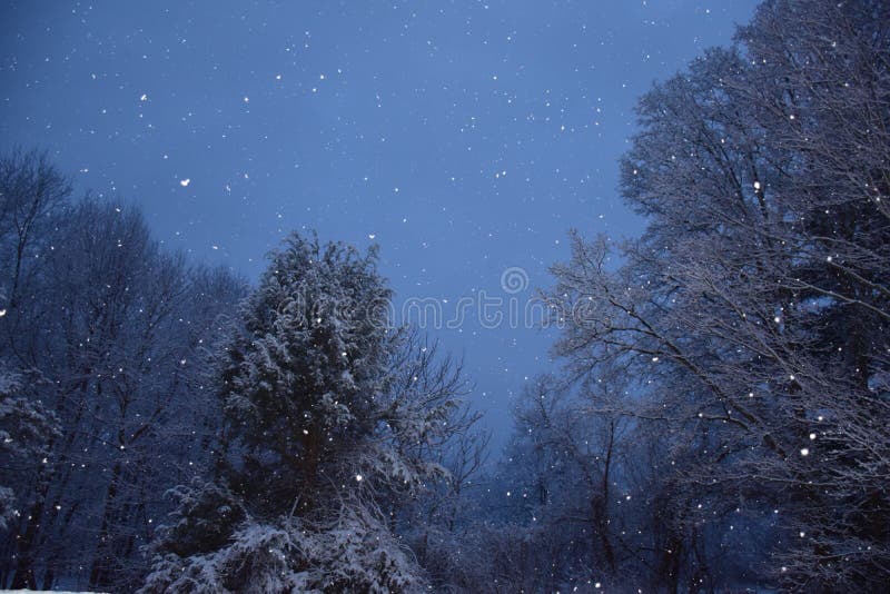 Snow at dusk stock photo. Image of winter, dusk, snow - 67383120