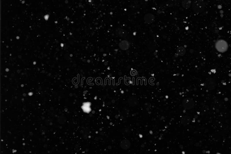 Snow. Dust Bokeh on a Black Background Stock Photo - Image of bokeh ...