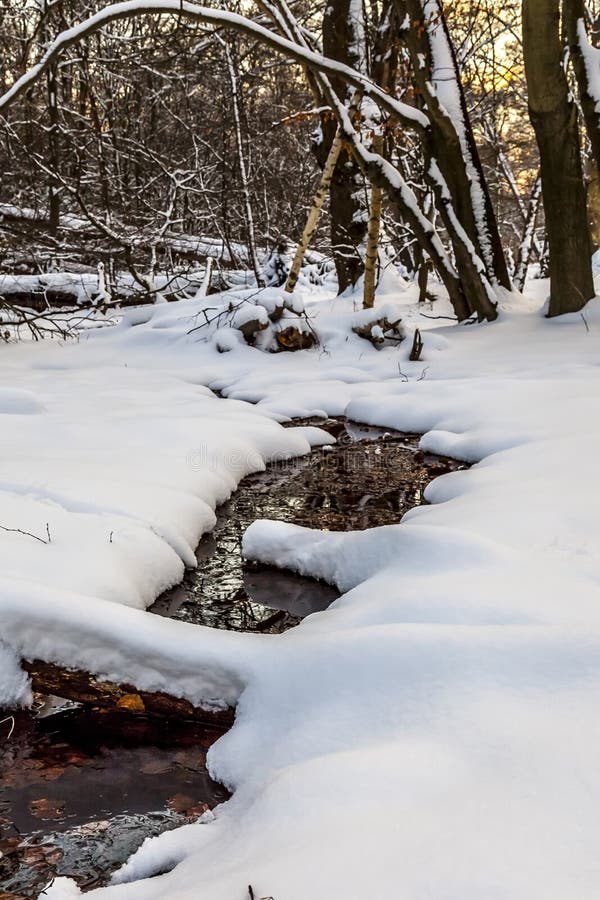Snow in Epping Forest stock image. Image of epping, forest - 151124879