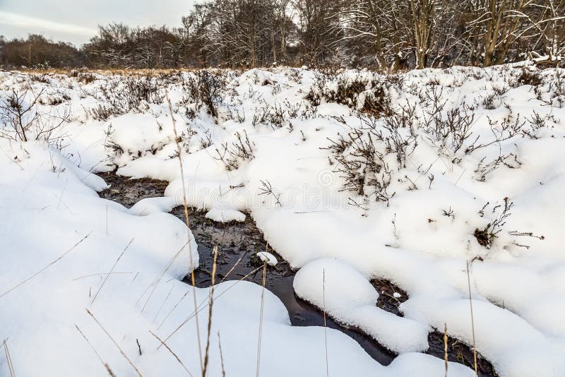 Snow in Epping Forest stock image. Image of scenics - 151124893