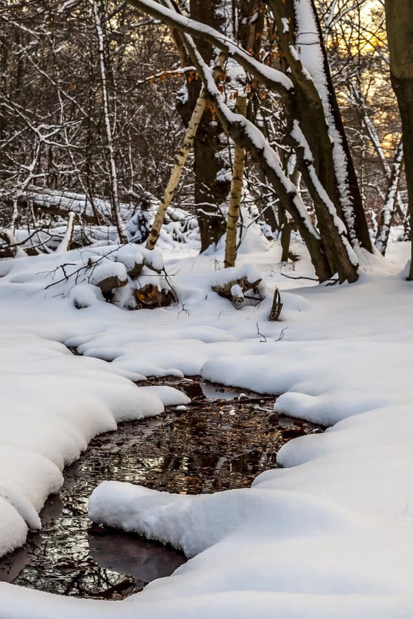 Snow in Epping Forest stock photo. Image of water, snow - 151124906