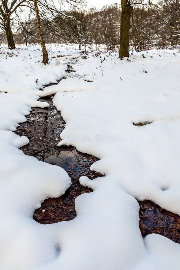 Snow in Epping Forest stock image. Image of tree, water - 151124913
