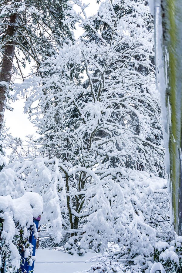 Snow Snow Everywhere 4 stock image. Image of weather - 142964595