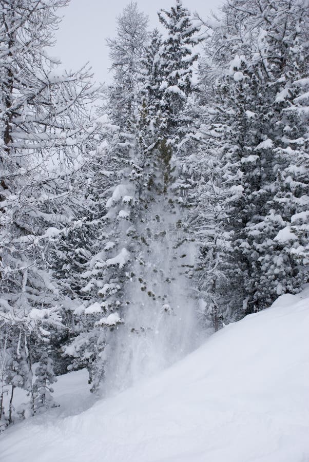 Snow fall stock image. Image of season, blizzard, snow - 66731865