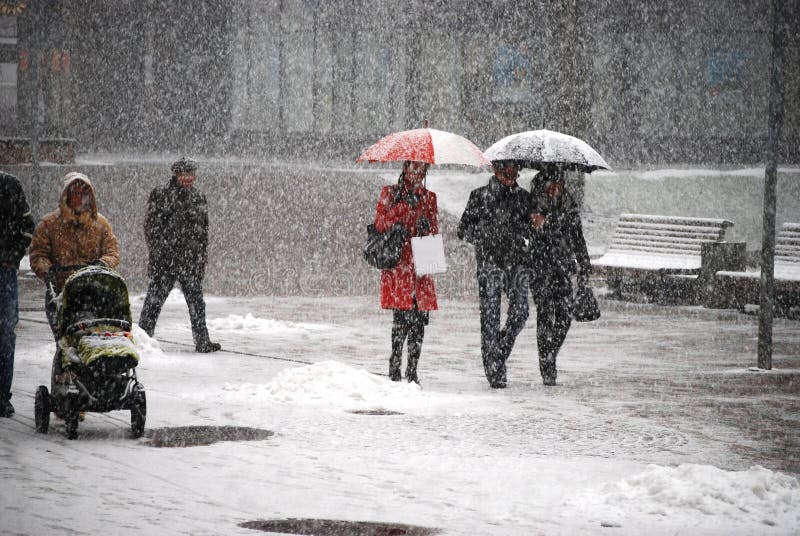 Heavy snowfall stock photo. Image of driving, winter, path - 8235324