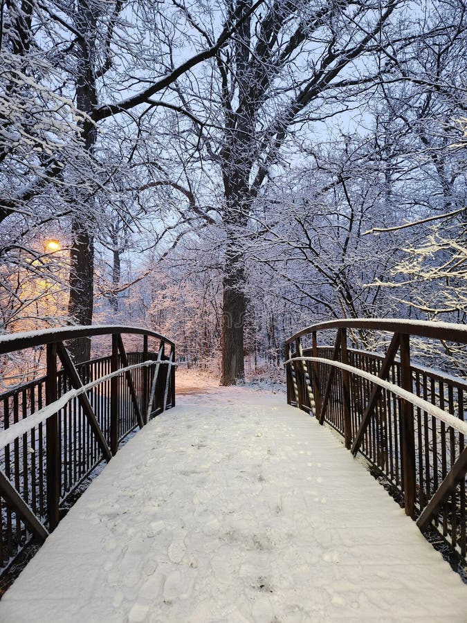 Snow Fall Bridge stock image. Image of snow, flower - 267277675