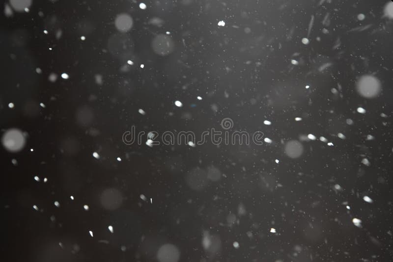 Snow is Falling Against a Dark Sky in the Light. Night Blizzard Cold ...