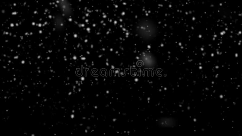 Snow Falling Animation on a Black Background, Seamless Loop Stock Video ...