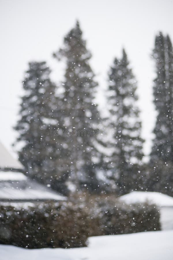 Snow falling background stock photo. Image of shallow - 86940750