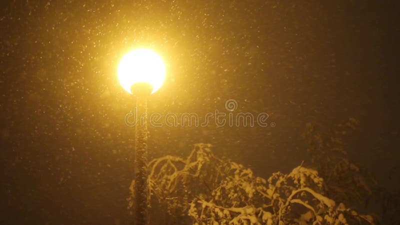 Snow Falling on the Background of Street Lamp at Night Stock Footage ...