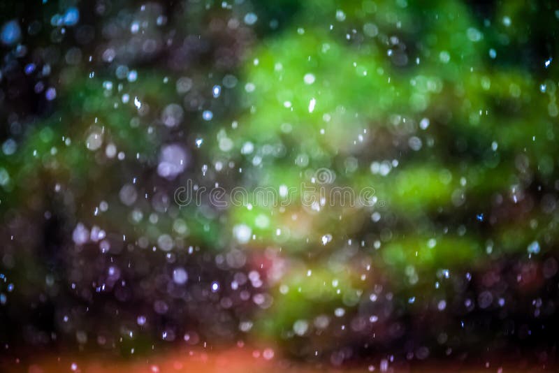 Snow Falling Blur on Forest Background Stock Photo - Image of forest ...