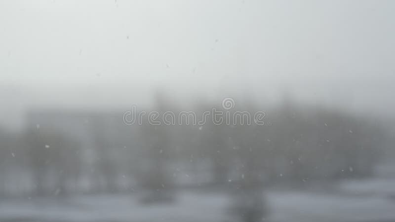 Snow Falling with Blurred Bacground Stock Image - Image of snow ...