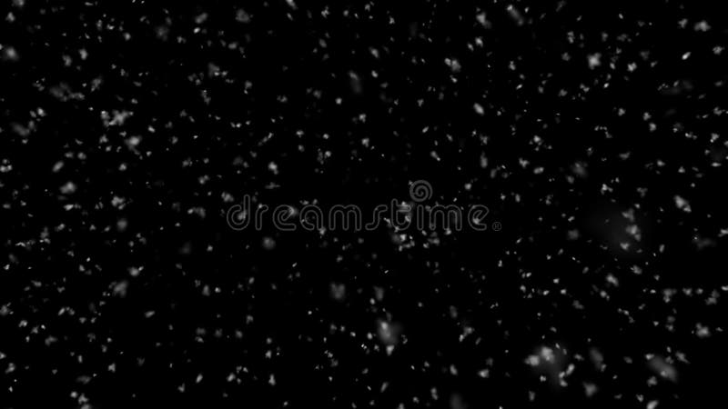 Snow Falling Close - Thick and Slow - Seamless Loop - Alpha Channel ...