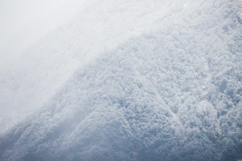 Snow Falling Down To Forest on the Mountain Stock Image - Image of ...