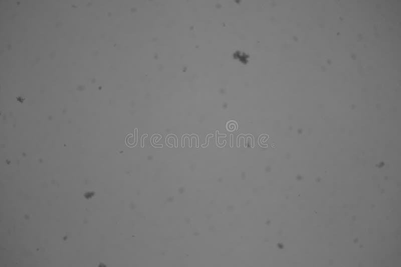 Dull winter street stock photo. Image of freeze, path - 180107656