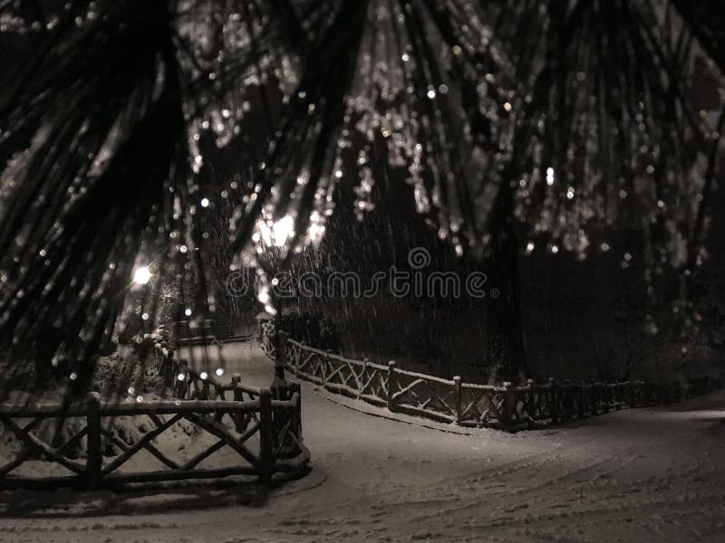 Snow Falling during Evening in Winter at Central Park in Manhattan, New ...