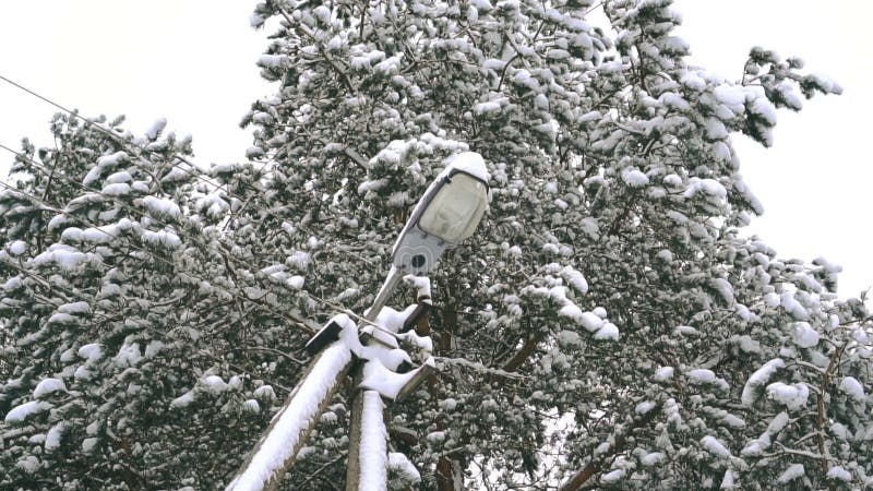 Snow Falling on a Lamp Post, Slow Motion Stock Footage - Video of ...