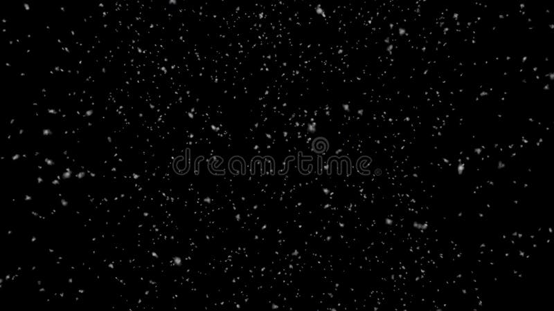 Snow Falling Animation Isolated on Black Background. Stock Video ...