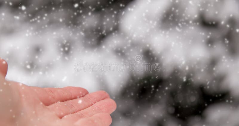 Snow is Falling on a Person`s Hand. Long Banner Stock Photo - Image of ...